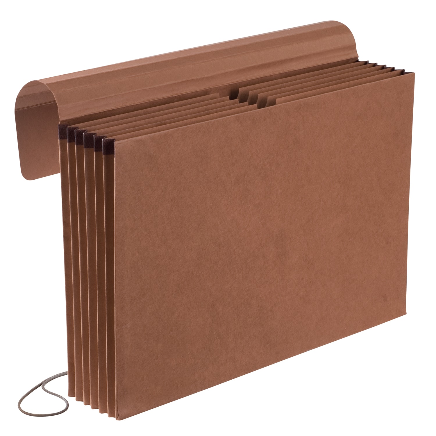 Expandable Pendaflex Folders