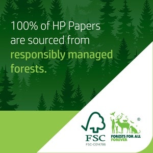 HP Papers BrightWhite24 Office Paper - White - 100 Brightness - Letter ...