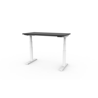 ergoCentric upCentric Rectangular 2LV 30" x 48" Electric Height ...